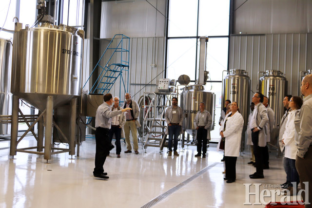 Pea processing pilot facility promotes agri-processing sector