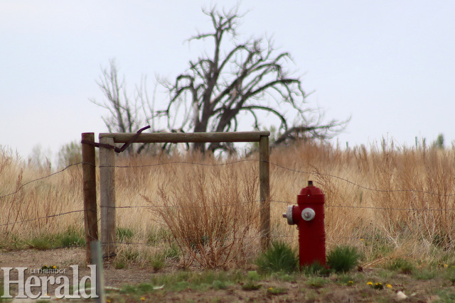 City report outlines fire season outlook to SPC