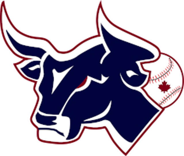 Bulls go undefeated on road trip