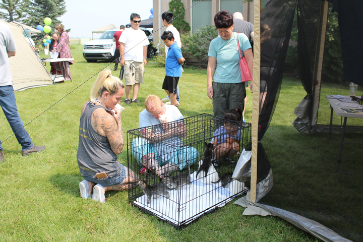 Animal adoption in high demand