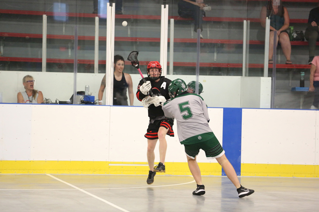 Sheen hits milestone with Chaos