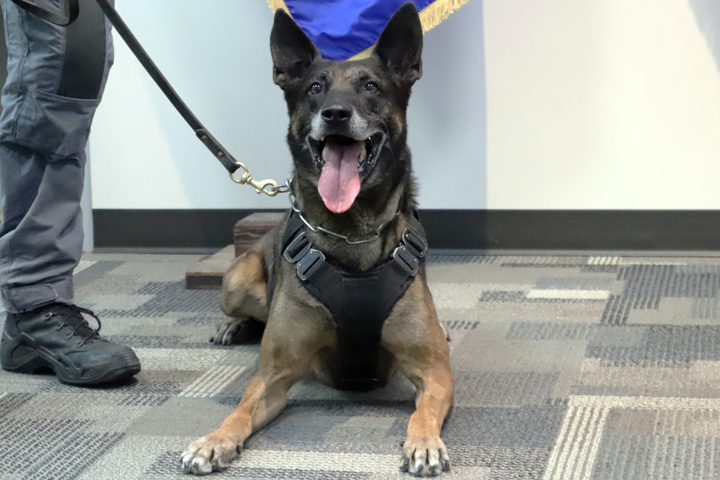 Calendar celebrates 60 years of K9 service with city police