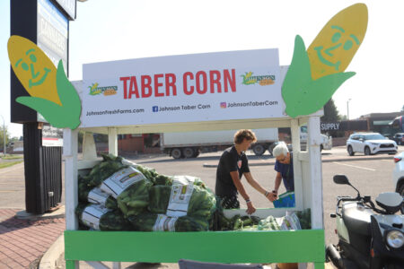 Taber corn is back!