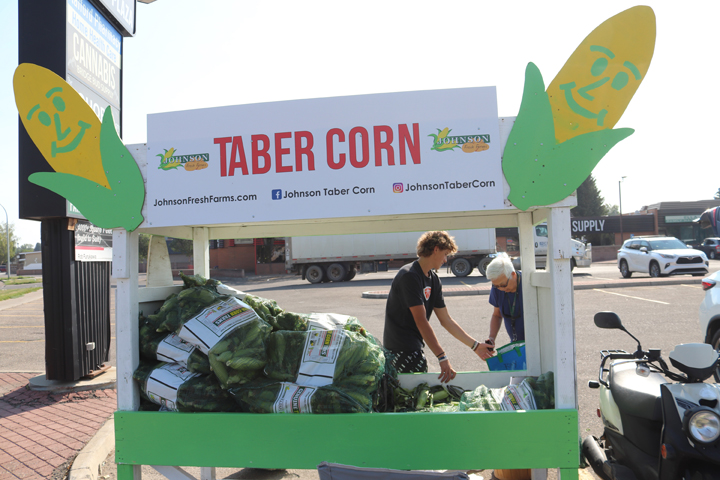 Taber corn is back!