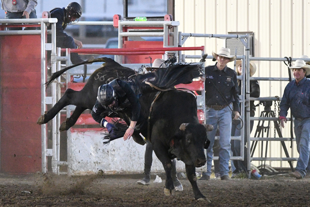 Pro rodeo saddles up in Lethbridge for three nights