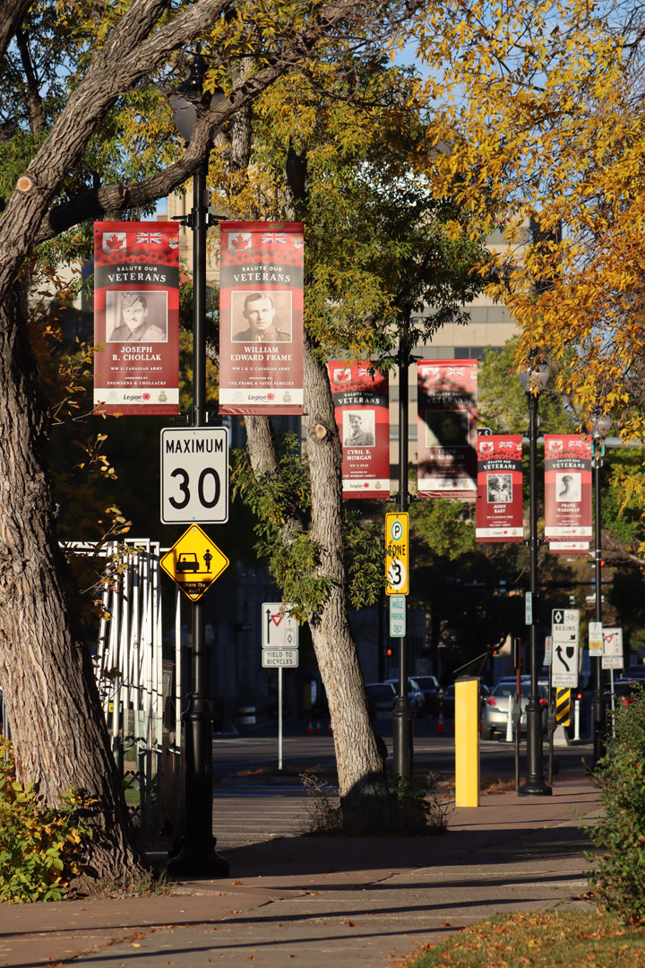Banner project honours veterans with local connection