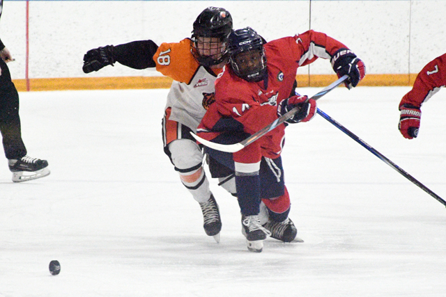 Hawks split home and home with Tigers