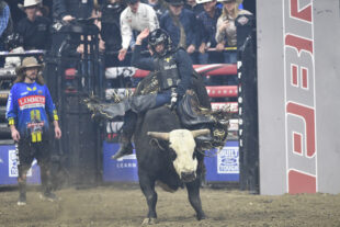 Tetz defends Lethbridge PBR crown