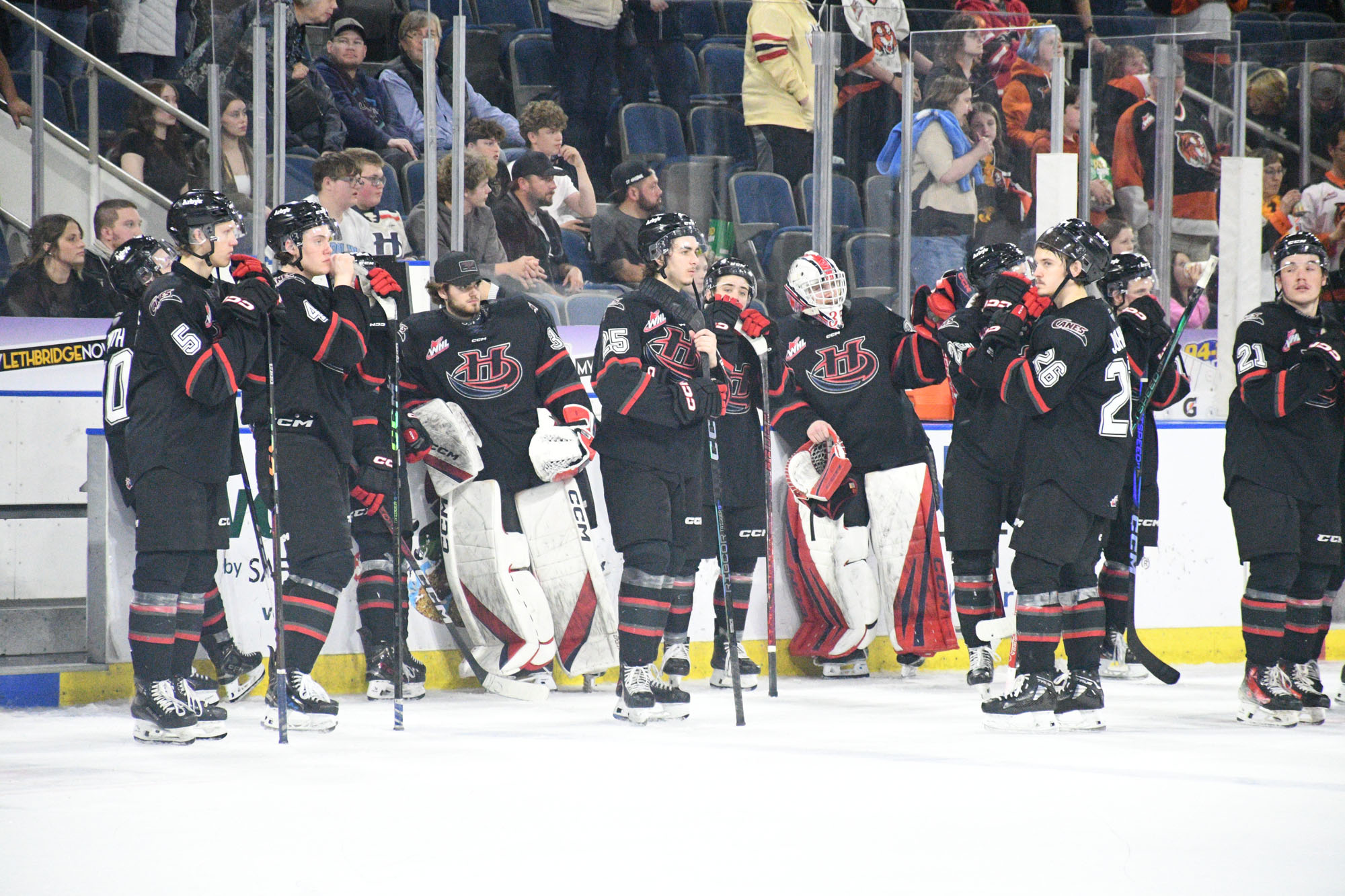 Hurricanes swept by Tigers