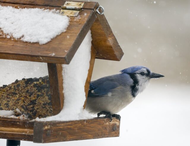 About 20 weather warnings in effect across Canada as rain, snow, cold ...