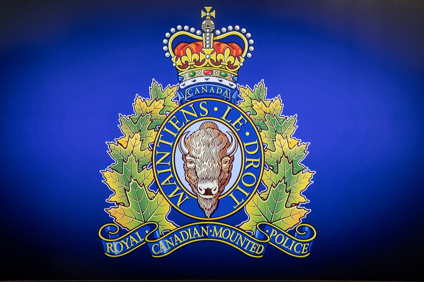 CP NewsAlert: 1 dead, 3 injured in shooting on Saskatchewan First ...