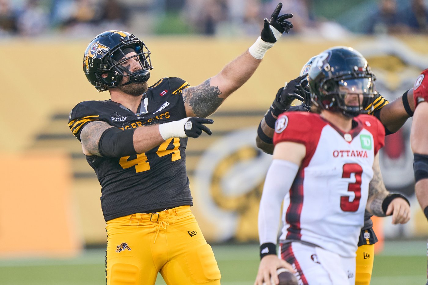 Hamilton Tiger-Cats release veteran American defensive lineman Casey Sayles