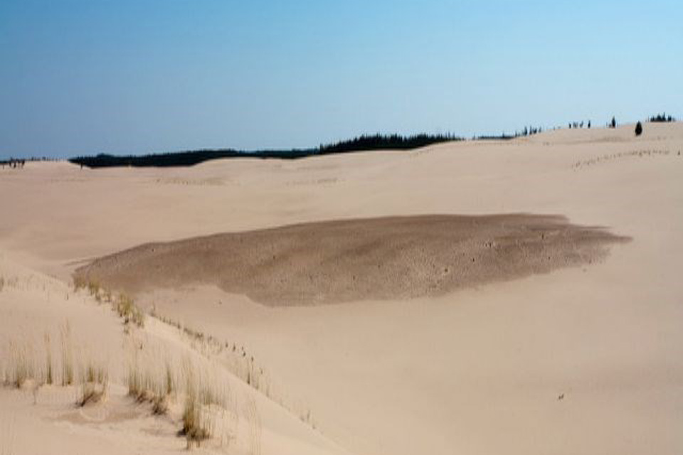 ICYMI: Alberta’s Hiding A Mini Sahara Desert From The Rest Of Canada