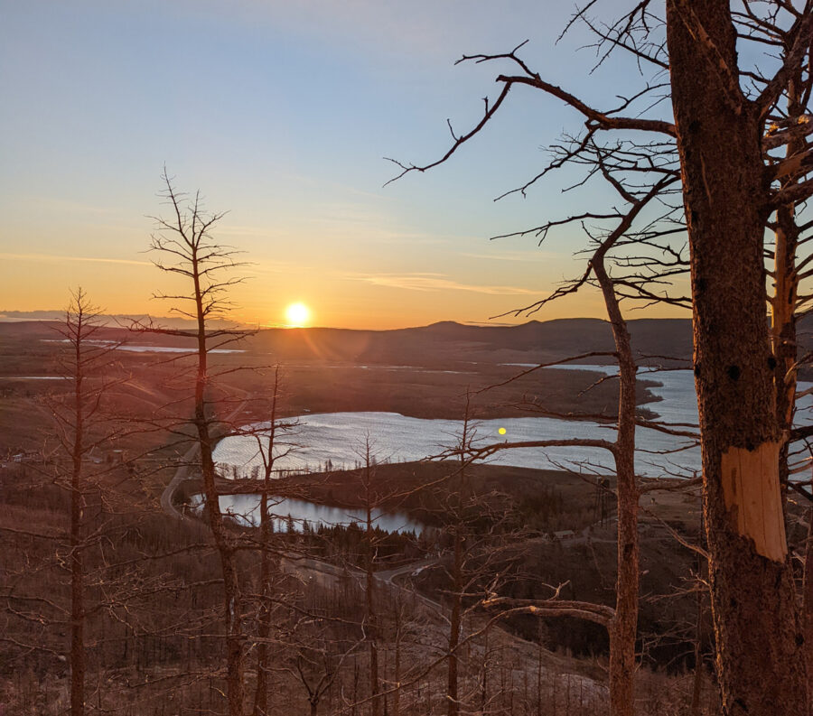 About The Lethbridge Herald - The Lethbridge Herald - News and Sports ...