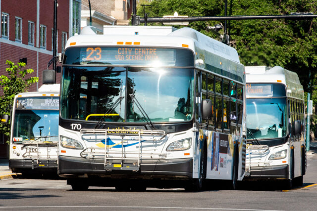 Lethbridge Transit changes set to arrive this summer
