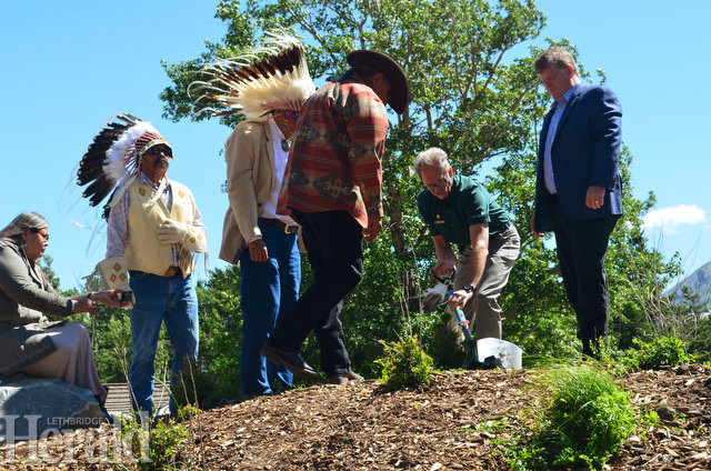 See Alberta's parks through an Indigenous lens