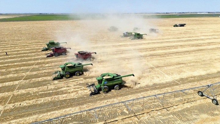 Local Foodgrains Growing Project harvests a success