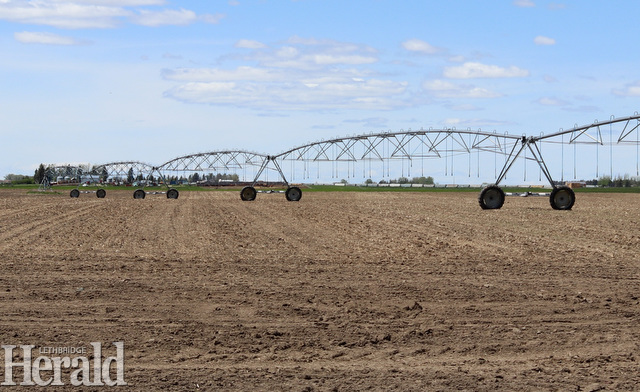 Spring moisture a blessing for area fields and farmers