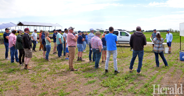 Get smart: field day exhibits the results of ag research