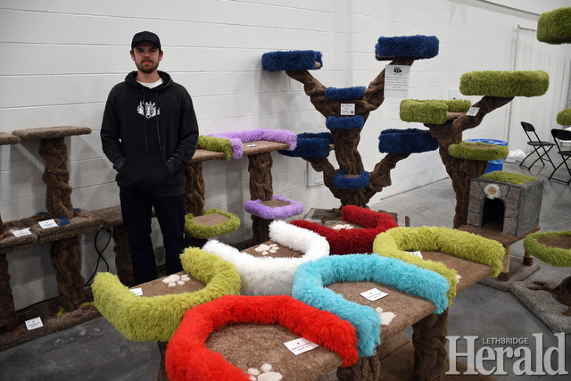 Cat beds may just be the purrfect thing for the family felines